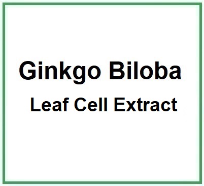 Ginkgo Biloba Leaf Cell Extract