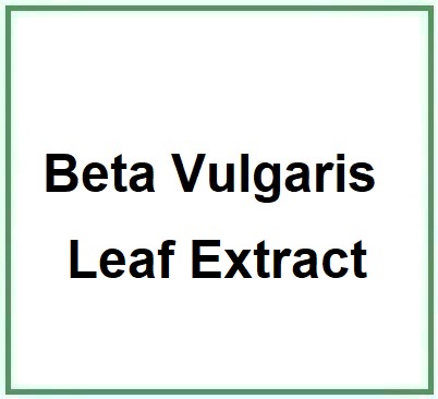 Beta Vulgaris Leaf Extract
