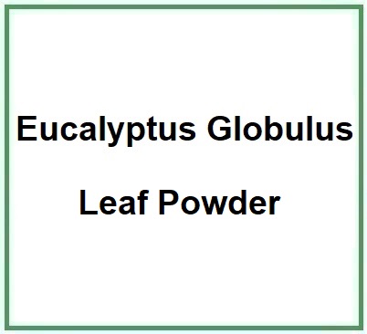 Eucalyptus Globulus Leaf Powder