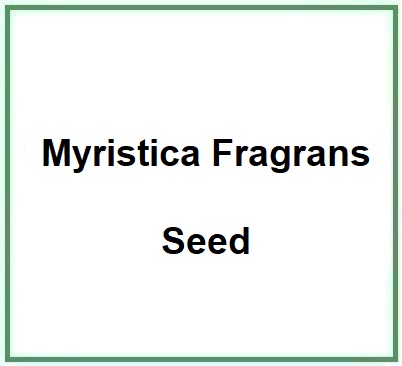 Myristica Fragrans Seed