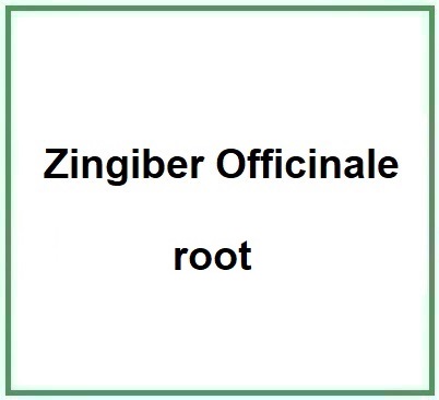 Zingiber Officinale (Ginger) Root