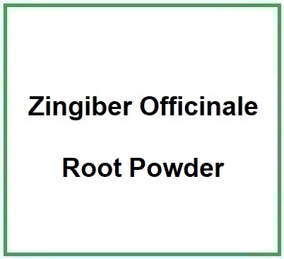 Zingiber Officinale (Ginger) Root Powder