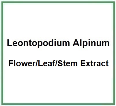 Leontopodium Alpinum Flower/Leaf/Stem Extract