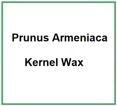 Prunus Armeniaca (Apricot) Kernel Wax